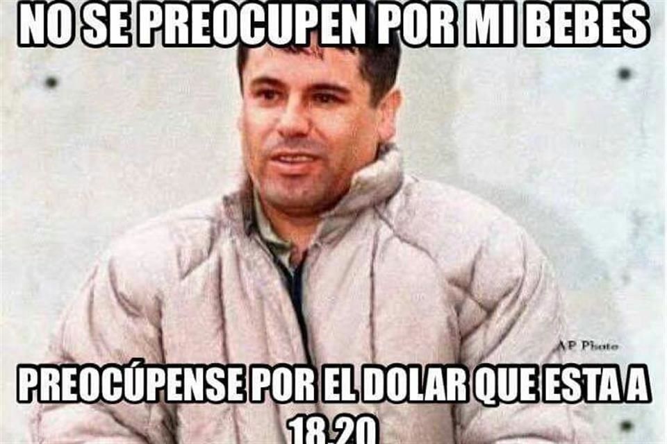 Memes Del Chapo Recaptura