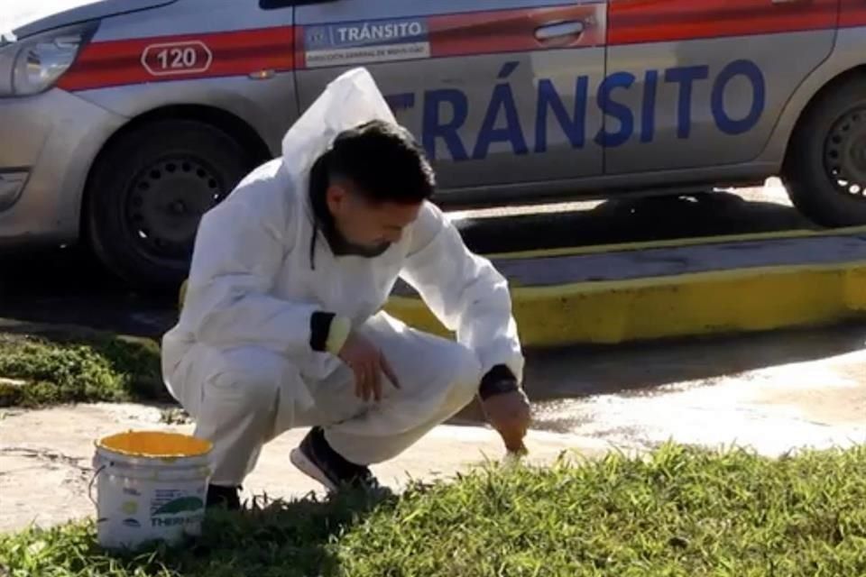 Pagan Multas Con Trabajo Comunitario