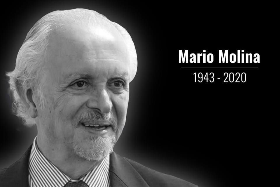 Mario Molina's Instagram, Twitter & Facebook on IDCrawl