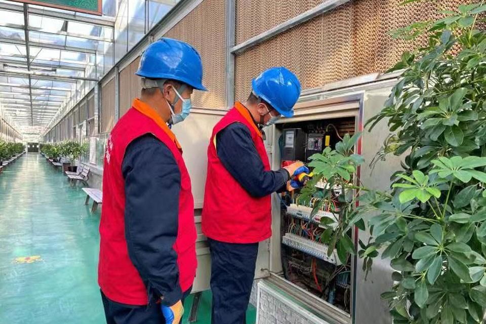 Nuevas tecnologías agrícolas aumentan la productividad