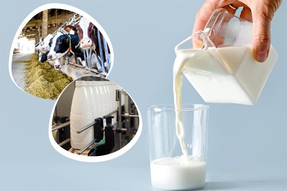 Lecheros en pro de la sustentabilidad