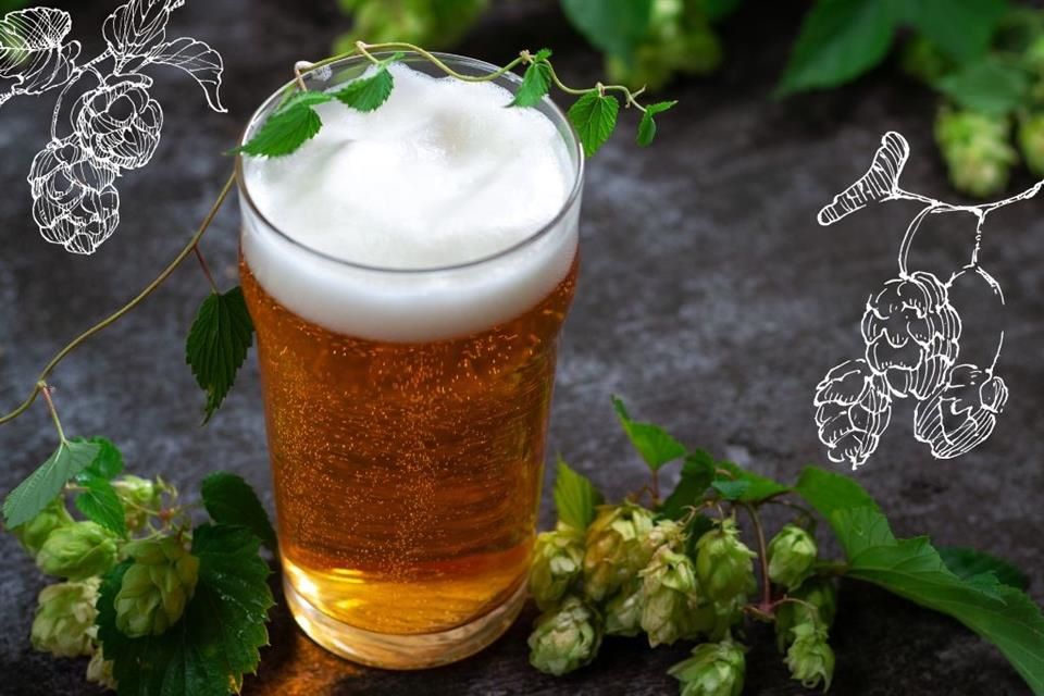 Lúpulos: furor amargo y aromático