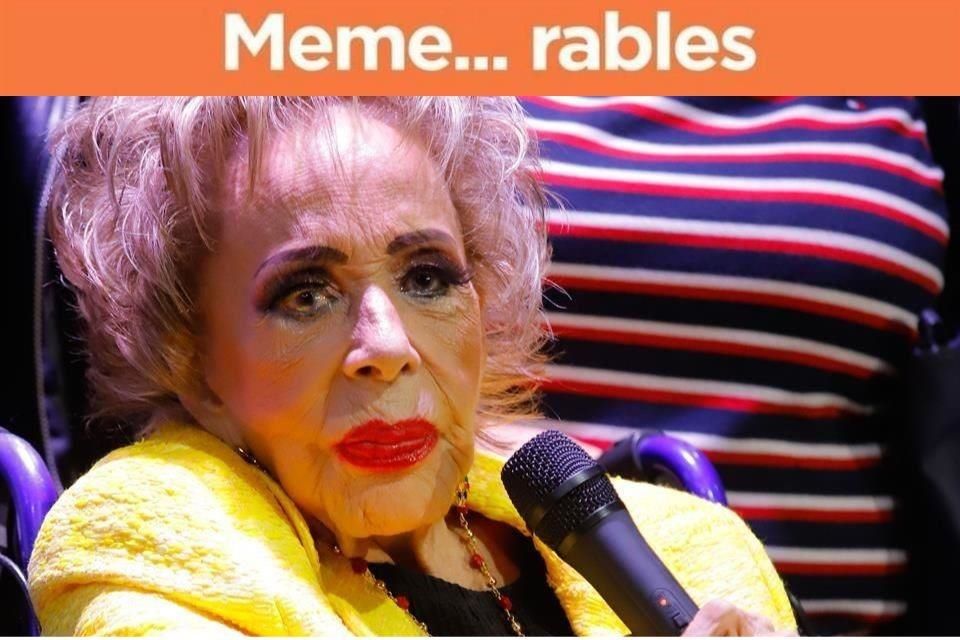 Memes Con Silvia