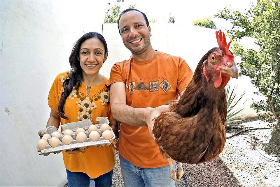 Cual Es El Mejor Perro Para Cuidar Gallinas